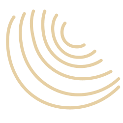 Print Textbooks from Mathspace